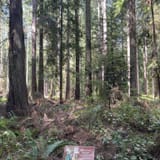 Robin Hill Park, Washington - 347 Reviews, Map | AllTrails