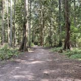 Robin Hill Park, Washington - 347 Reviews, Map | AllTrails