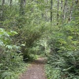 Robin Hill Park, Washington - 347 Reviews, Map | AllTrails