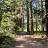 Robin Hill Park, Washington - 347 Reviews, Map | AllTrails