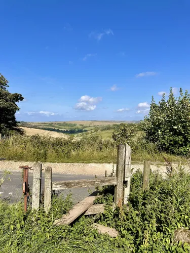 10 Best Trails, Walks, and Paths in Henfield | AllTrails