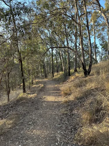 Best Kid Friendly Trails in Camp Mountain | AllTrails