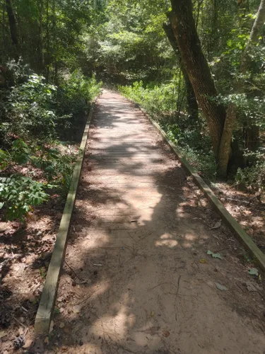 Best Hikes and Trails in Conroe | AllTrails