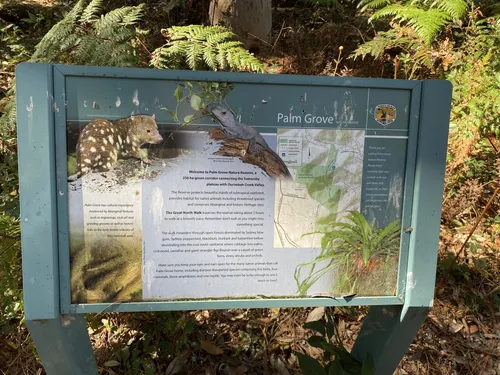 Best Hikes and Trails in Ourimbah State Forest | AllTrails