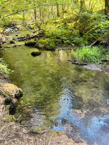 Best Hikes and Trails in Prospect State Scenic Viewpoint | AllTrails