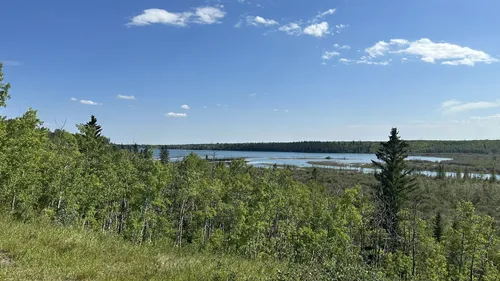 Best Hikes and Trails in Weaselhead Flats | AllTrails