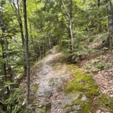 Griffith Lake Loop, Vermont - 110 Reviews, Map | AllTrails