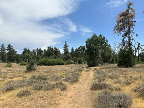 10 Best Trails and Hikes in Pine Valley | AllTrails