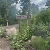 Bill Williams Mountain Trail, Arizona - 486 Reviews, Map | AllTrails