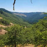 Weldon Wagon Road Trail, Washington - 524 Reviews, Map | AllTrails