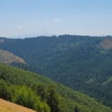 Weldon Wagon Road Trail, Washington - 524 Reviews, Map | AllTrails