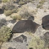 Grimes Point Petroglyphs, Nevada - 72 Reviews, Map | AllTrails