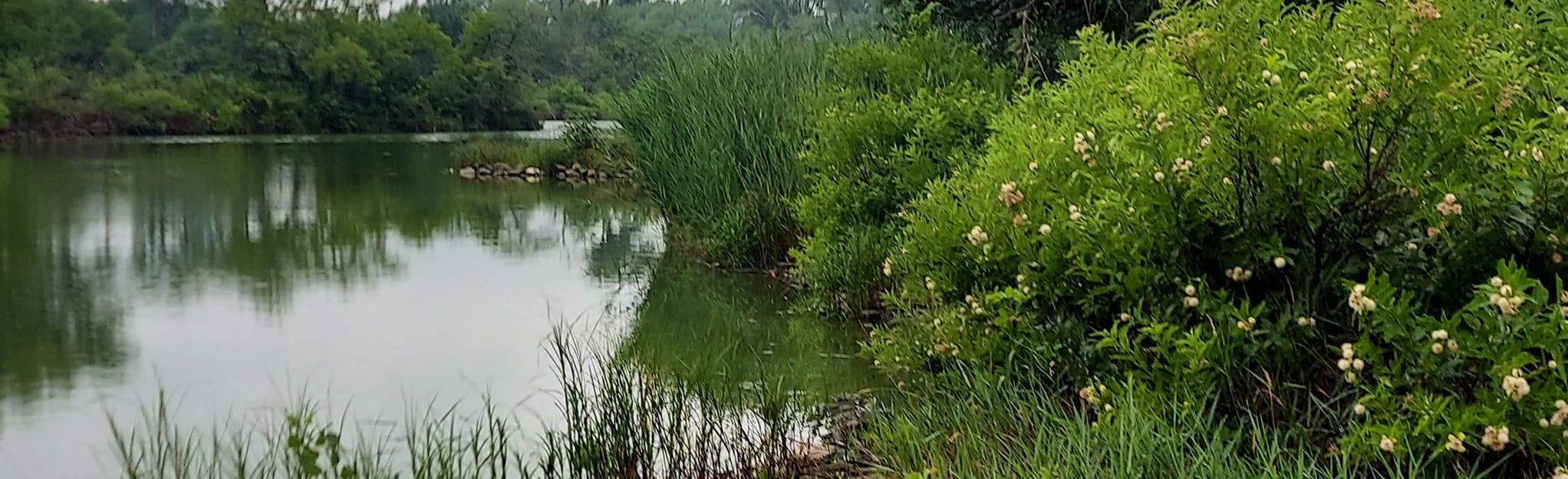 Harvey County West Lake Loop, Kansas - 80 Reviews, Map | AllTrails