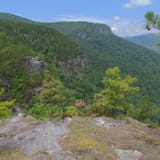 Spence Ridge Trail, North Carolina - 317 Reviews, Map | AllTrails