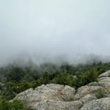 Crane Mountain Loop Hike, New York - 1,258 Reviews, Map | AllTrails