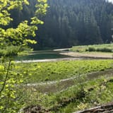 Lost Lake Trail, Washington - 231 Reviews, Map | AllTrails