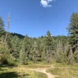 Sandy River Trail, Oregon - 326 Reviews, Map | AllTrails