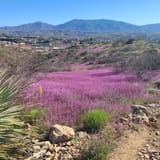Round Mountain Park , Arizona - 192 Reviews, Map | AllTrails