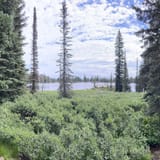 Blue Lake Trail, Idaho - 413 Reviews, Map | AllTrails