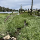 Blue Lake Trail, Idaho - 413 Reviews, Map | AllTrails