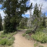 Blue Lake Trail, Idaho - 422 Reviews, Map | AllTrails