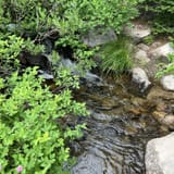 Blue Lake Trail, Idaho - 413 Reviews, Map | AllTrails