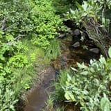 Blue Lake Trail, Idaho - 413 Reviews, Map | AllTrails