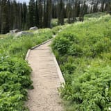 Blue Lake Trail, Idaho - 422 Reviews, Map | AllTrails