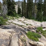 Blue Lake Trail, Idaho - 422 Reviews, Map | AllTrails