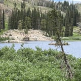Blue Lake Trail, Idaho - 422 Reviews, Map | AllTrails