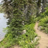 Blue Lake Trail, Idaho - 422 Reviews, Map | AllTrails