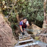 Gunung Rajah via KKB, Selangor, Malaysia - 74 Reviews, Map | AllTrails