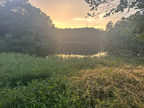 2023 Best Camping Trails in Fruithurst | AllTrails