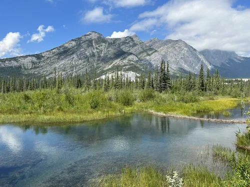 Best Camping Trails in Seebe | AllTrails