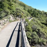 Verna Dunshee Trail and Plank Trail at Mount Tam East Peak, California ...