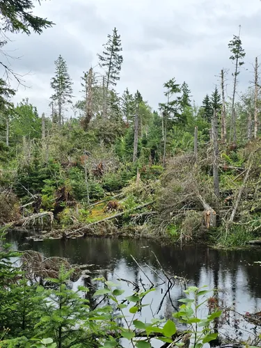 2023 Best River Trails in Tidnish Cross Roads | AllTrails