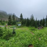 High Pass Trail, Washington - 147 Reviews, Map | AllTrails
