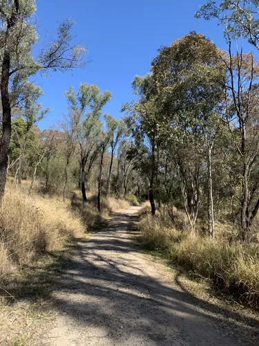 Best Hikes and Trails in William Howe Regional Park | AllTrails