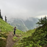 High Pass Trail, Washington - 147 Reviews, Map | AllTrails