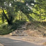 Waughop Lake Loop , Washington - 698 Reviews, Map | AllTrails