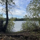 Waughop Lake Loop , Washington - 698 Reviews, Map | AllTrails
