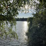 Waughop Lake Loop , Washington - 698 Reviews, Map | AllTrails