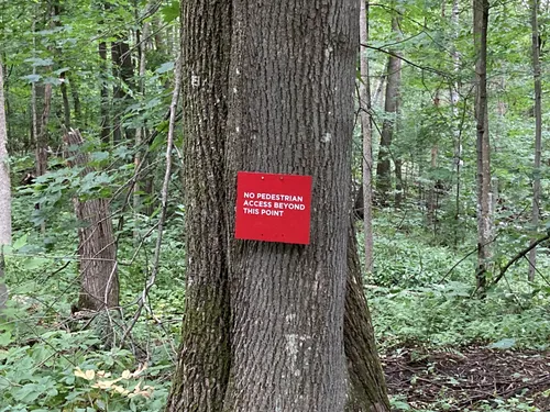 Best Hikes and Trails in National Whitewater Park | AllTrails