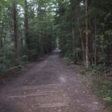 Zealand Bonds Traverse, New Hampshire - 678 Reviews, Map | AllTrails
