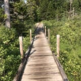 Zealand Bonds Traverse, New Hampshire - 678 Reviews, Map | AllTrails
