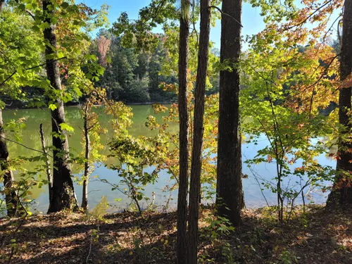 Best Hikes and Trails in Wind Creek State Park | AllTrails