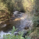 Taggerty River Lookout Loop, Victoria, Australia - 67 Reviews, Map ...