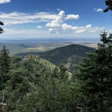 Bill Williams Mountain Trail, Arizona - 486 Reviews, Map | AllTrails