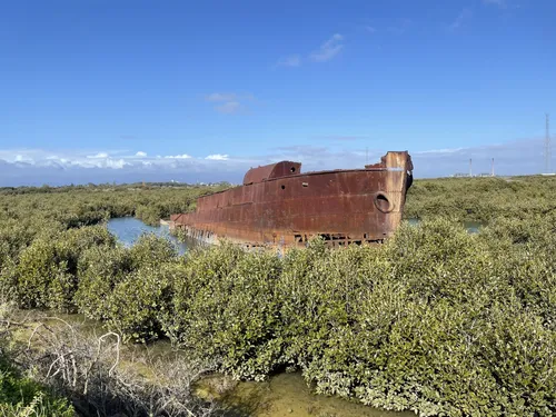 Best Hikes and Trails in Mutton Cove Conservation Reserve | AllTrails