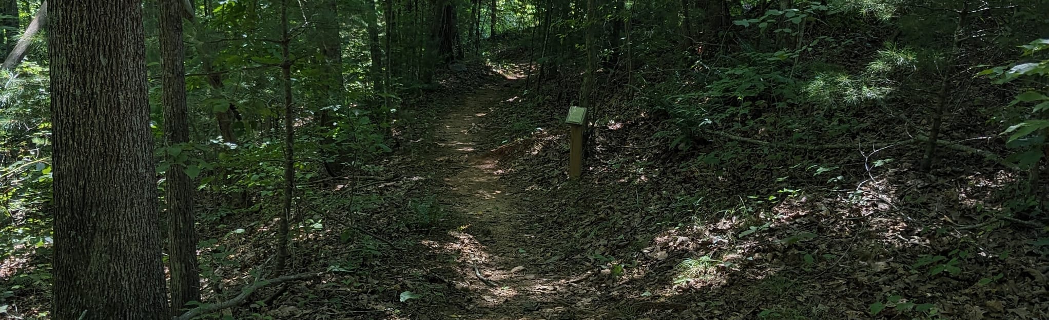 Woolwine East Trail Loop, Virginia - 8 Reviews, Map | AllTrails